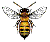 Bee GIFs - Get the best gif on GIFER