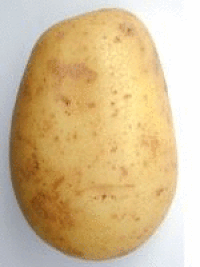 Potato GIFs - Get the best gif on GIFER