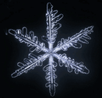 Snowflake GIFs - Get the best gif on GIFER