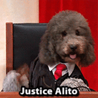Court GIFs - Get the best gif on GIFER