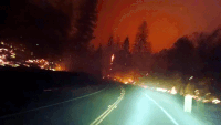 Wildfires GIFs - Get the best gif on GIFER