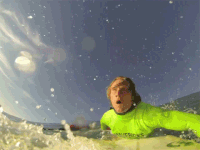 Paddles GIFs - Get the best gif on GIFER