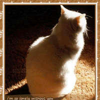 Solitaire GIFs - Get the best gif on GIFER