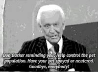 Normal GIFs - Get the best gif on GIFER