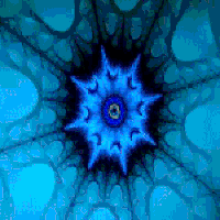 Fractale GIFs - Get the best gif on GIFER