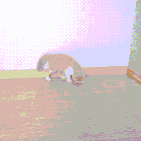 Tactic GIFs - Get the best gif on GIFER