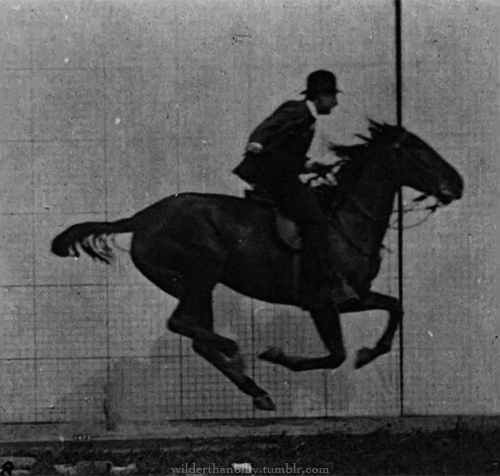 1800 GIFs - Get the best gif on GIFER