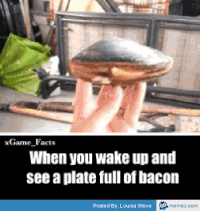 Réveillé GIFs - Obtenez le meilleur gif sur GIFER