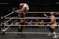 Cass GIFs - Get the best gif on GIFER