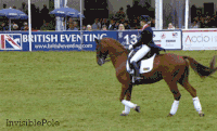Riding GIFs - Get the best gif on GIFER