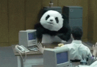 Qa GIFs - Get the best gif on GIFER