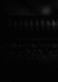 Millipedes GIFs - Get the best gif on GIFER