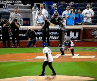 Pitcher GIFs - Get the best gif on GIFER
