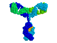 Protein GIFs - Get the best gif on GIFER