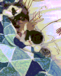 Dose GIFs - Get the best gif on GIFER