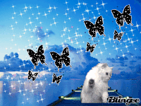 Beutiful GIFs - Get the best gif on GIFER
