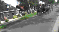 Amish GIFs - Get the best gif on GIFER