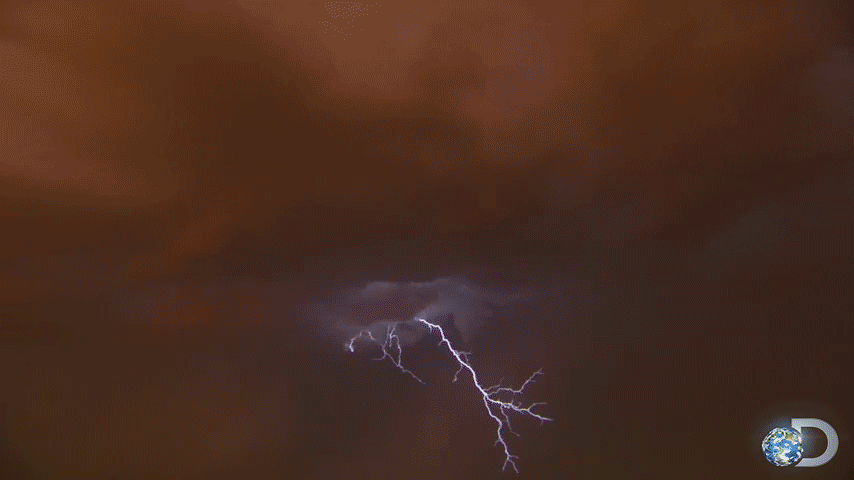 Tropical climate GIF - Conseguir o melhor gif em GIFER