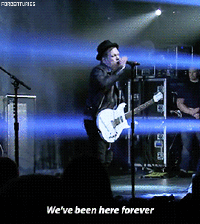 Stumped GIFs - Get the best gif on GIFER