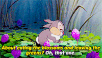 Thumper GIFs - Get the best gif on GIFER