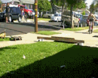 Slo GIFs - Obtenez le meilleur gif sur GIFER