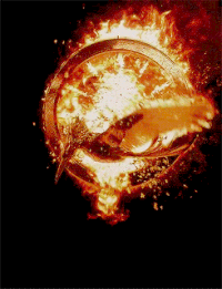 Mockingjay GIFs - Get the best gif on GIFER