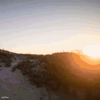 Trident GIFs - Get the best gif on GIFER