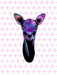 Dear GIFs - Get the best gif on GIFER
