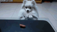 Snack GIFs - Get the best gif on GIFER