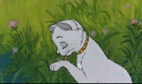 Duchess GIFs - Get the best gif on GIFER