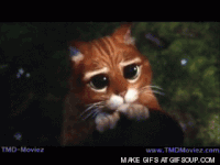 Password GIFs - Get the best gif on GIFER