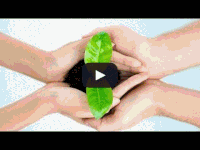 Sustainability GIFs - Get the best gif on GIFER
