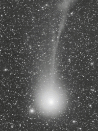 Grayscale GIFs - Get the best gif on GIFER