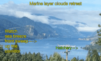 Meteorologist GIFs - Get the best gif on GIFER