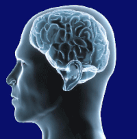 Mind GIFs - Get the best gif on GIFER