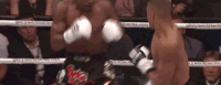Kickboxing GIFs - Get the best gif on GIFER