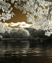 Relaxing GIFs - Get the best gif on GIFER