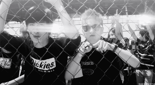 Chainlink fence GIF - Conseguir o melhor gif em GIFER