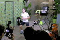 Surround GIFs - Get the best gif on GIFER