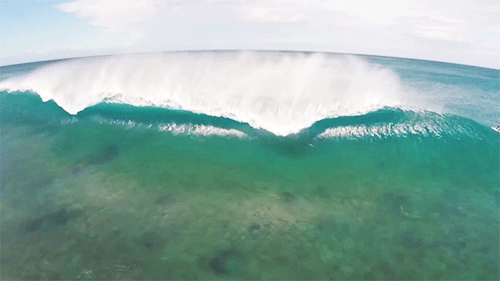 Oahu GIFs - Get the best gif on GIFER