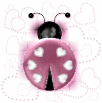 Ladybugs GIFs - Get the best gif on GIFER
