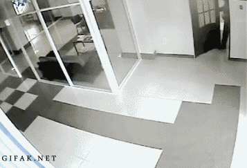 Wallets GIF - Conseguir o melhor gif em GIFER