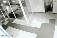 Wallet GIFs - Get the best gif on GIFER