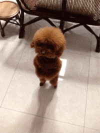 Bathroom GIFs - Get the best gif on GIFER