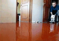 Sliding GIFs - Get the best gif on GIFER