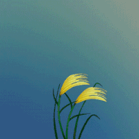 Wheat GIFs - Get the best gif on GIFER