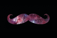Moustache GIFs - Get the best gif on GIFER