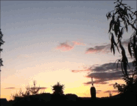 Setting GIFs - Get the best gif on GIFER