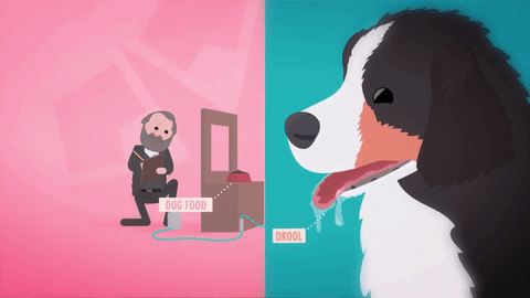 Pavlov GIFs - Get the best gif on GIFER
