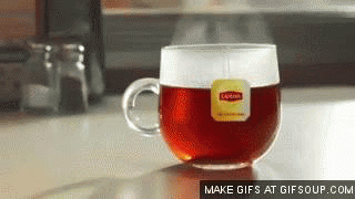 Tee GIFs - Get the best gif on GIFER